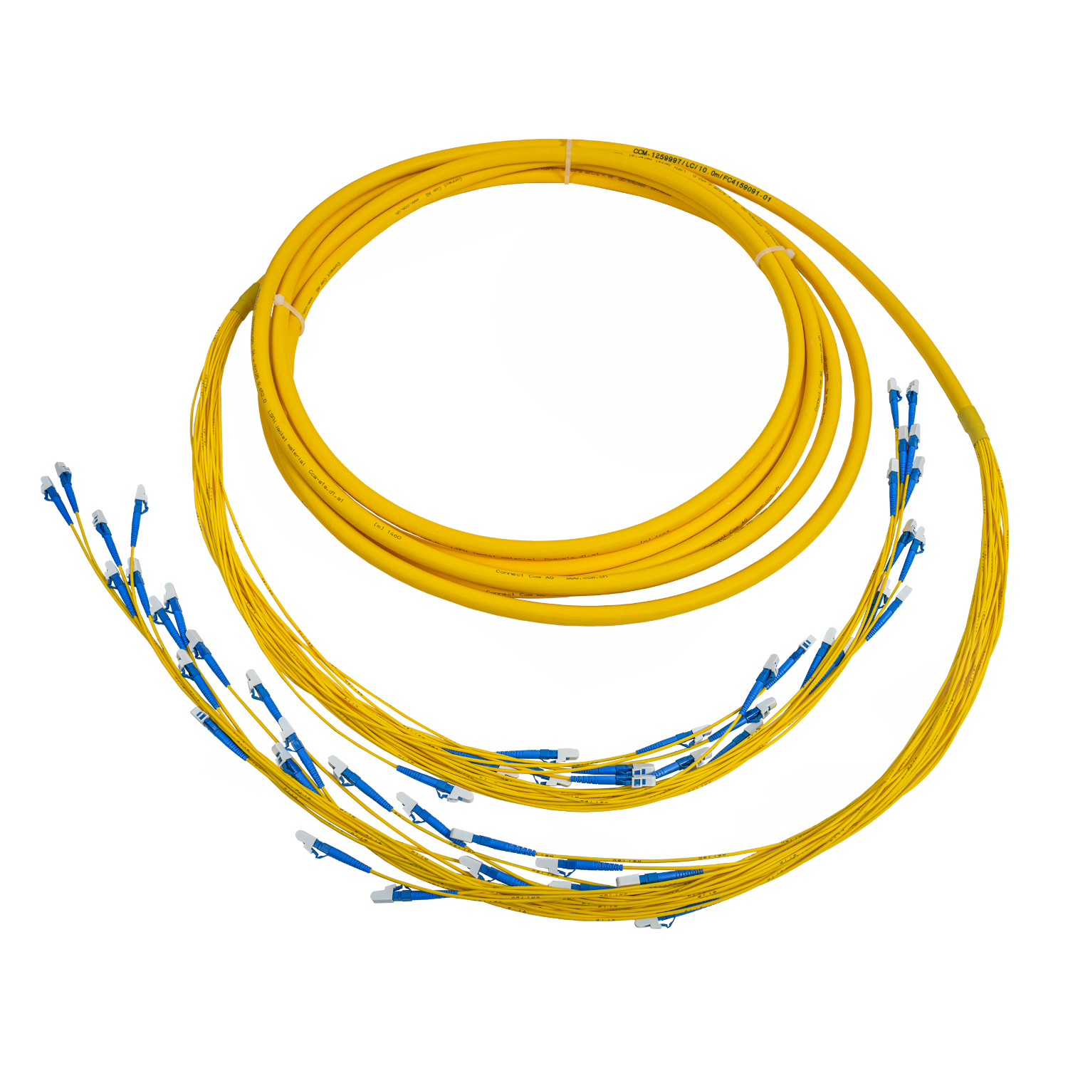 LWL-Lexikon - Fachbegriffe und Grundlagen - Connect Com GmbH